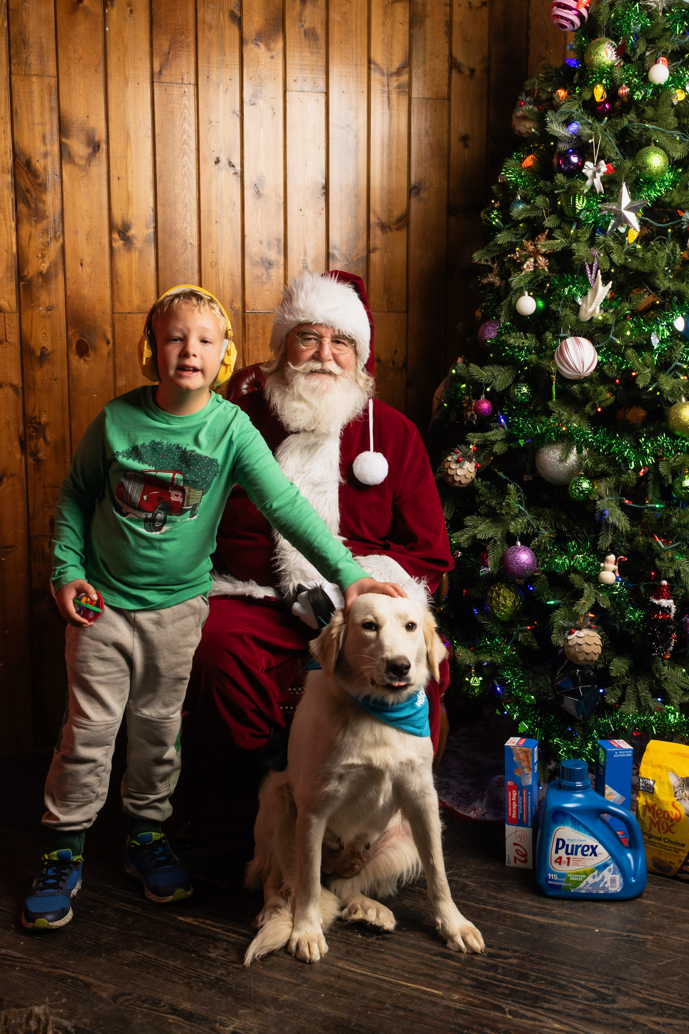 Adopt Polly Pocket - Female Great Pyrenees in Austin, TX | Texas Great ...